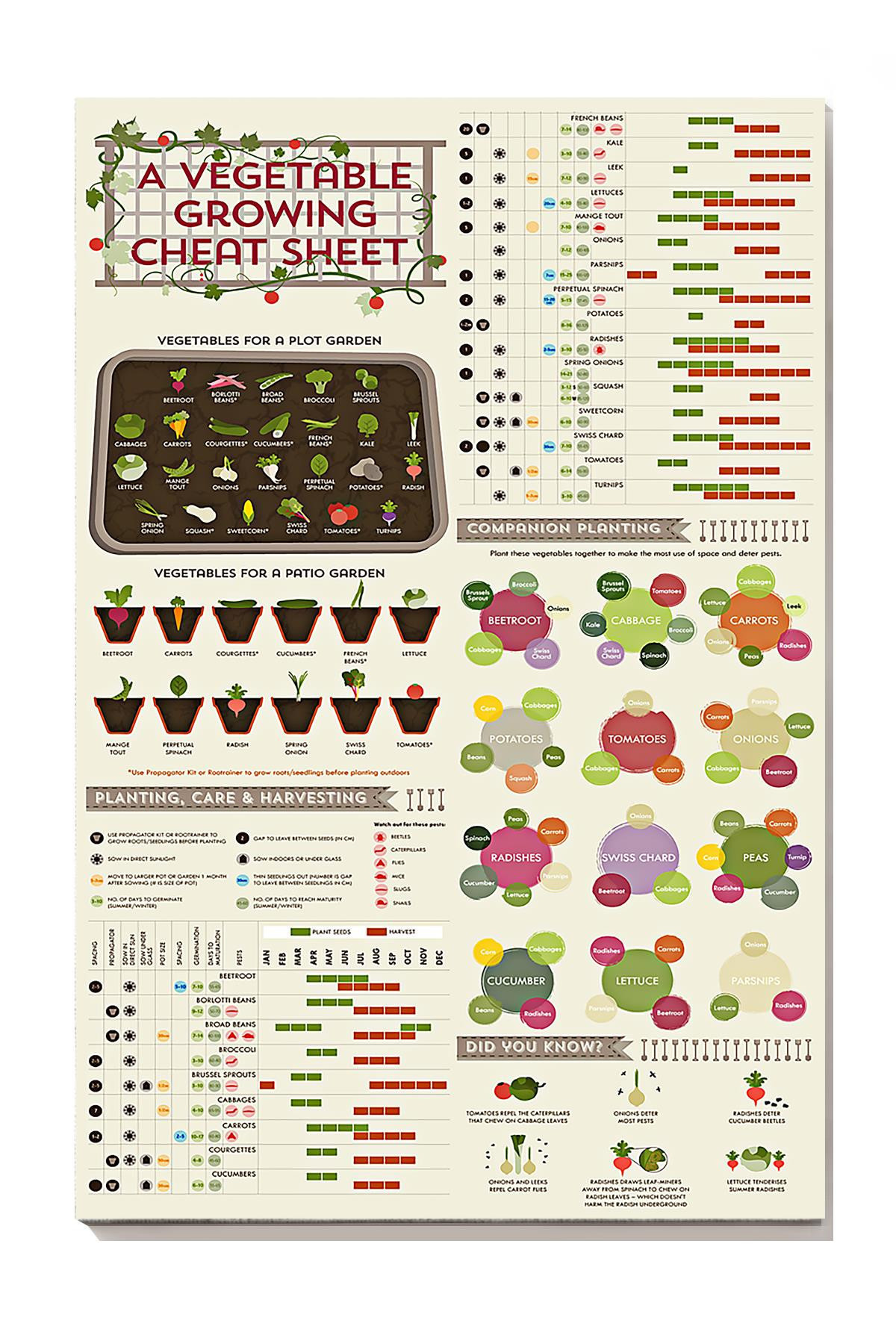 A Vegetable Growing Cheat Sheet Gardening Knowledge For Gardener Farmer ...