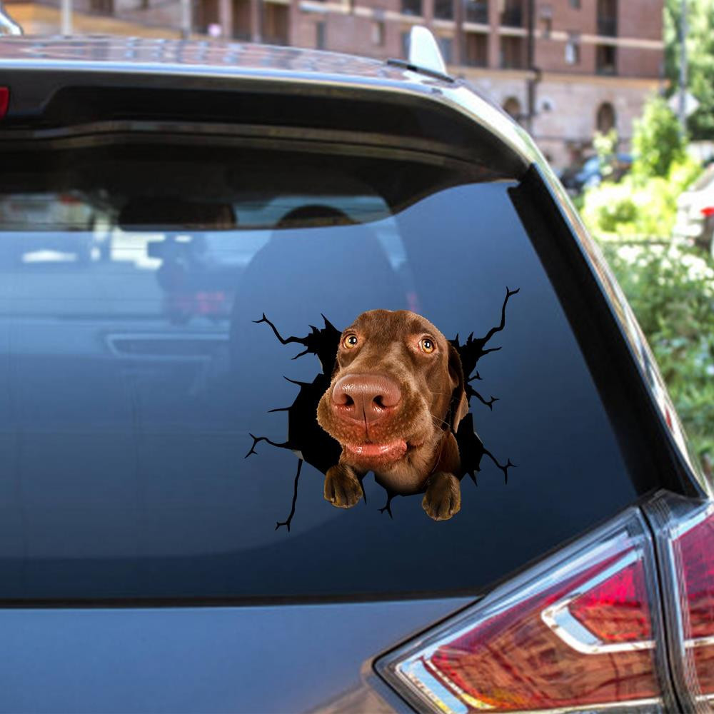 Labrador Dog Breeds Dogs Puppy Crack Window Decal Custom 3d Car Decal ...
